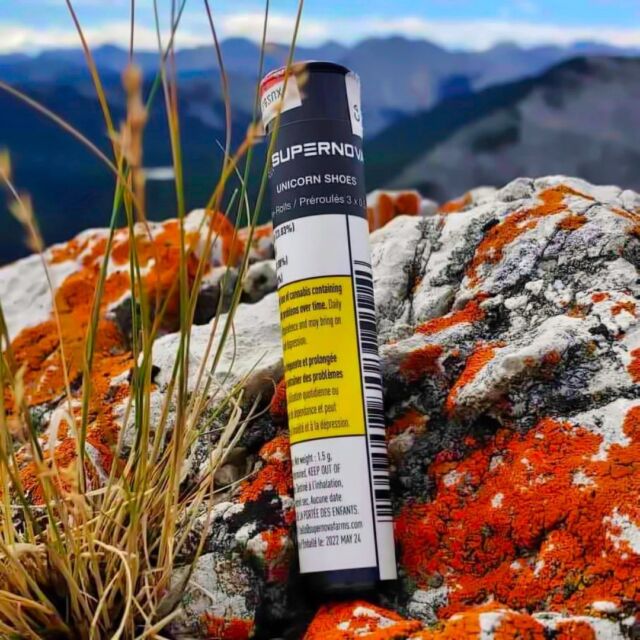 Unicorn Shoes Strain Lineage, Terpenes, Aroma ⇒ Supernova Farms Inc.