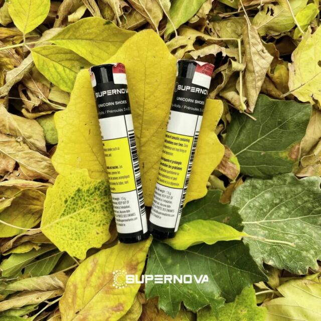 Contact Us - Supernova Farms Inc.